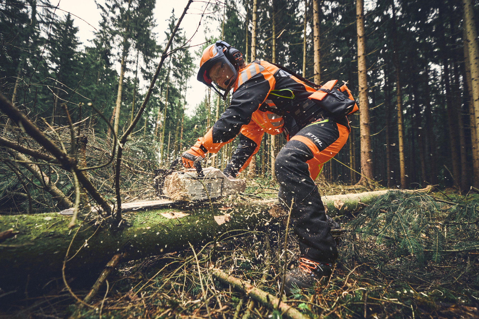 Forestry PPE: requirements, protection, care | STIHL